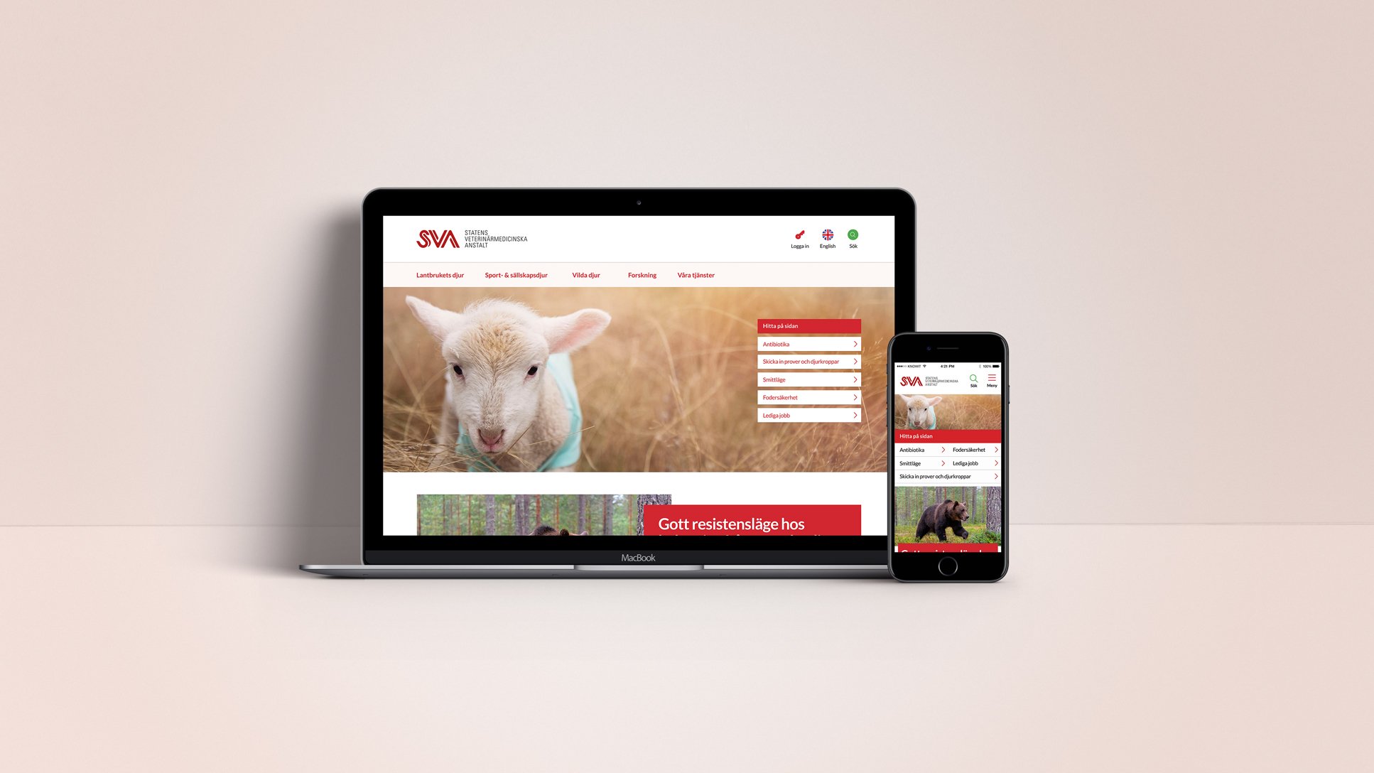 Knowit wins framework agreement with multiple Swedish authorities